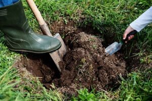 How to Locate Your Septic Tank with Simple Steps and Expert Tips